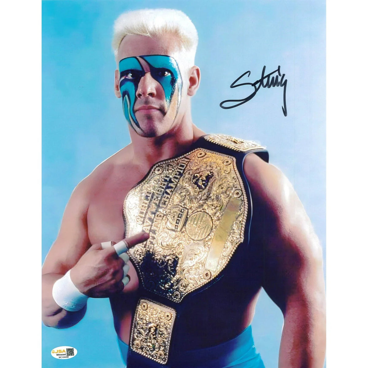 Sting Surfer Big Gold 11x14 - JSA Autographed — Highspots UK