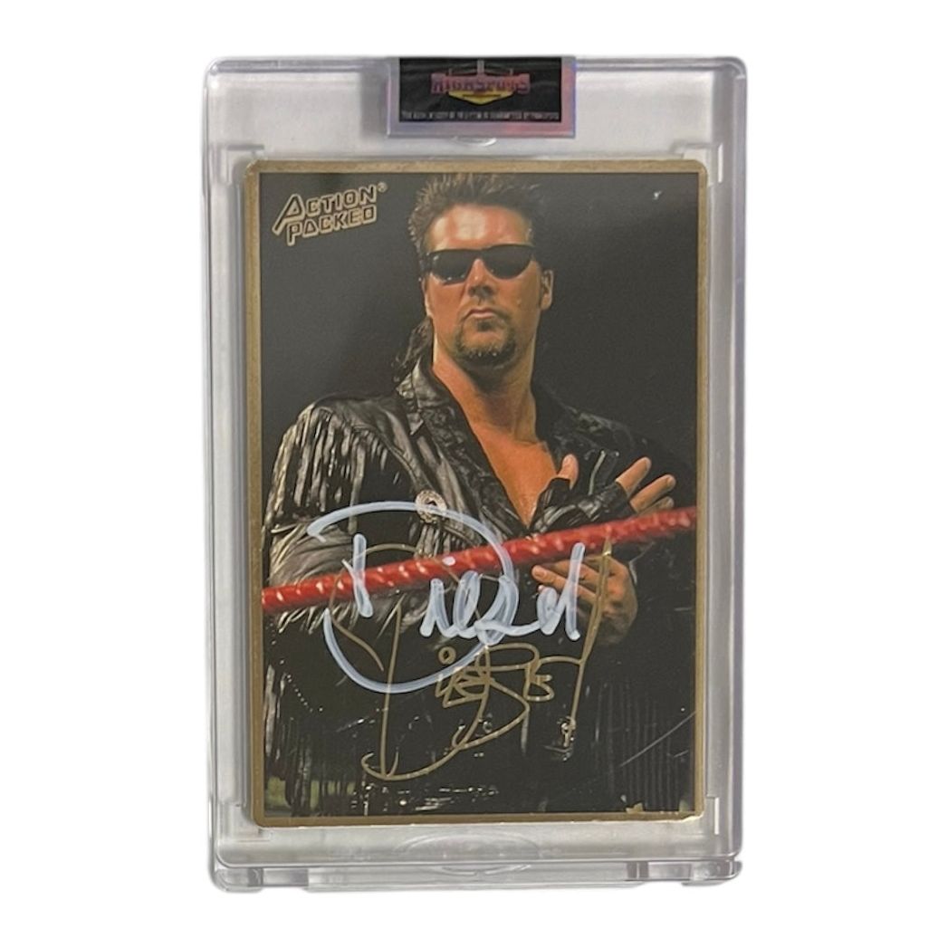 Diesel - WWF Action Packed 1994 Trading Card - Autographed — Highspots UK
