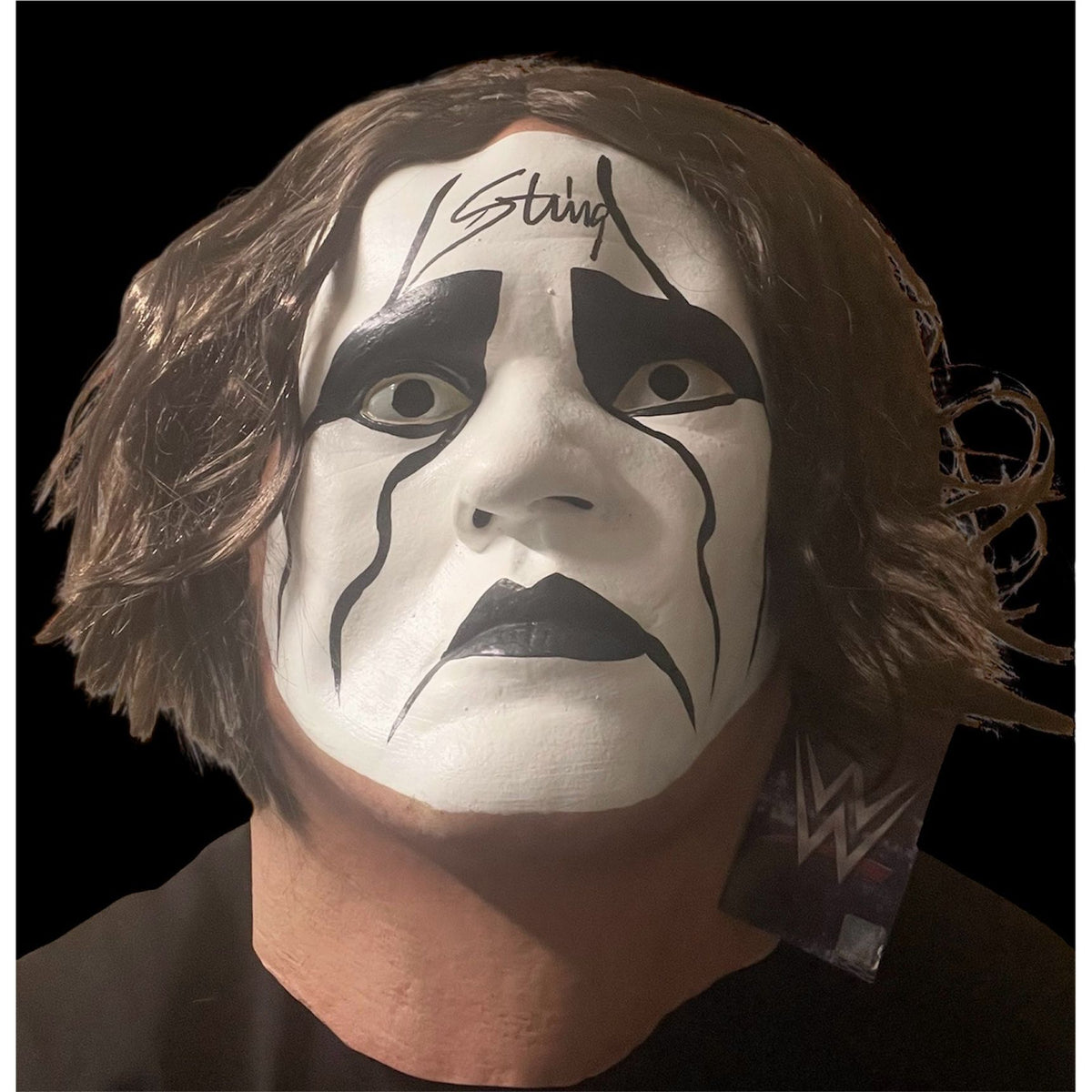 Sting Official WWE Mask - Autographed — Highspots UK